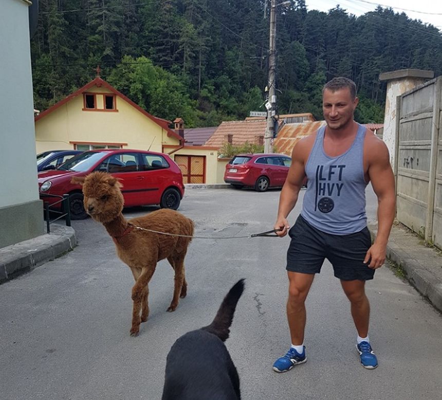 Marian Godină, foc şi pară. Celebrul poliţist îl critică pe şeful IPJ ...